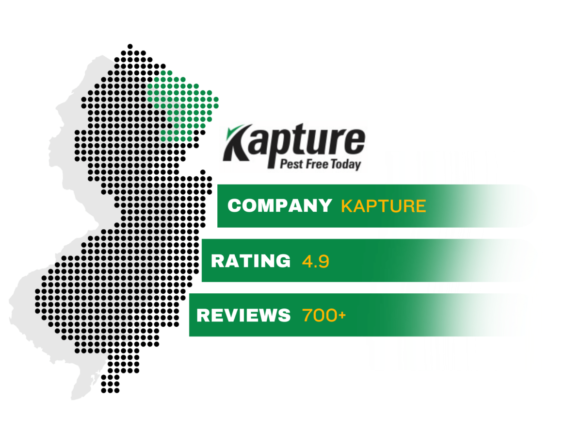 Best Pest Control In New Jersey - Kapturepest