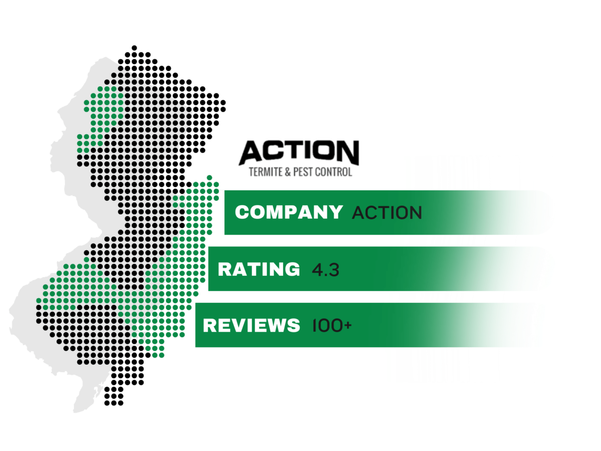 Best Pest Control In New Jersey - Kapture Pest