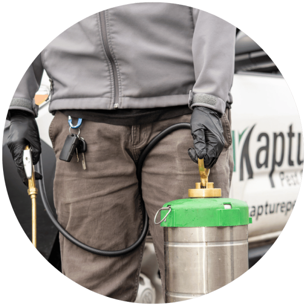 Kapture Pest Control In New Jersey | NJ Extermination & Pest Removal