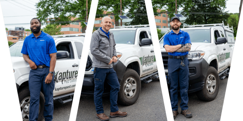 Kapture Pest Control In New Jersey | NJ Extermination & Pest Removal