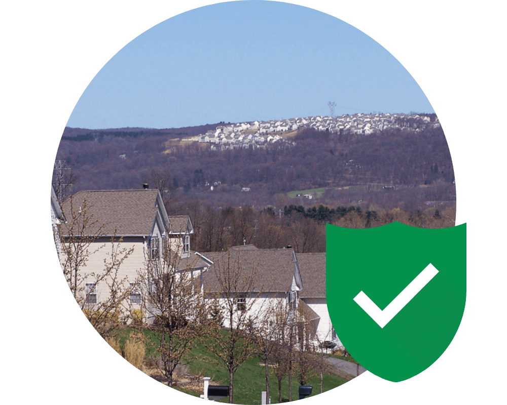 Mount Olive - Kapture Pest